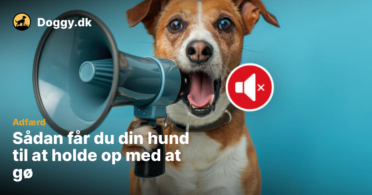 Sådan får du din hund til at holde op med at gø | Adfærd